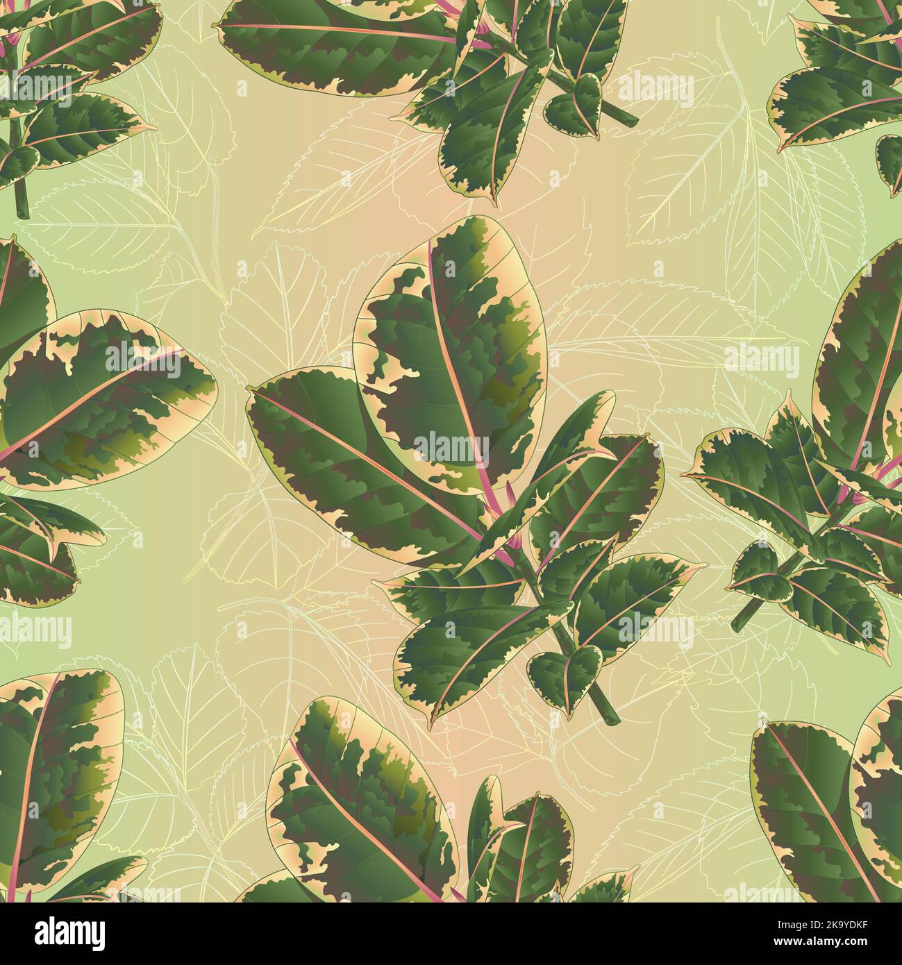 Seamless texture Ficus Elastica Ruby branch and colorful leaves ...