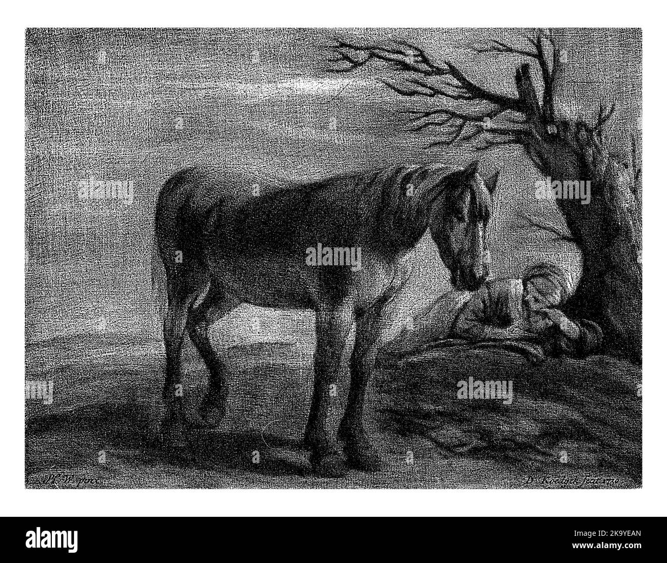 Kindred animals Black and White Stock Photos & Images - Alamy
