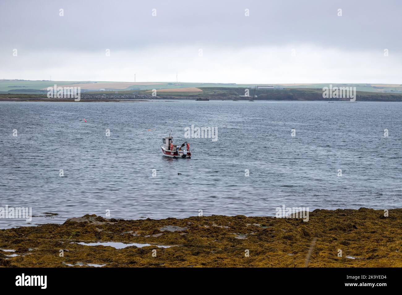 Burray, Orkney, Scotland, UK Stock Photo - Alamy
