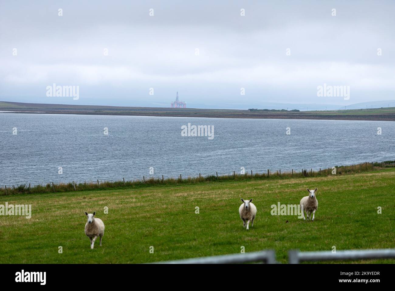 Burray, Orkney, Scotland, UK Stock Photo - Alamy