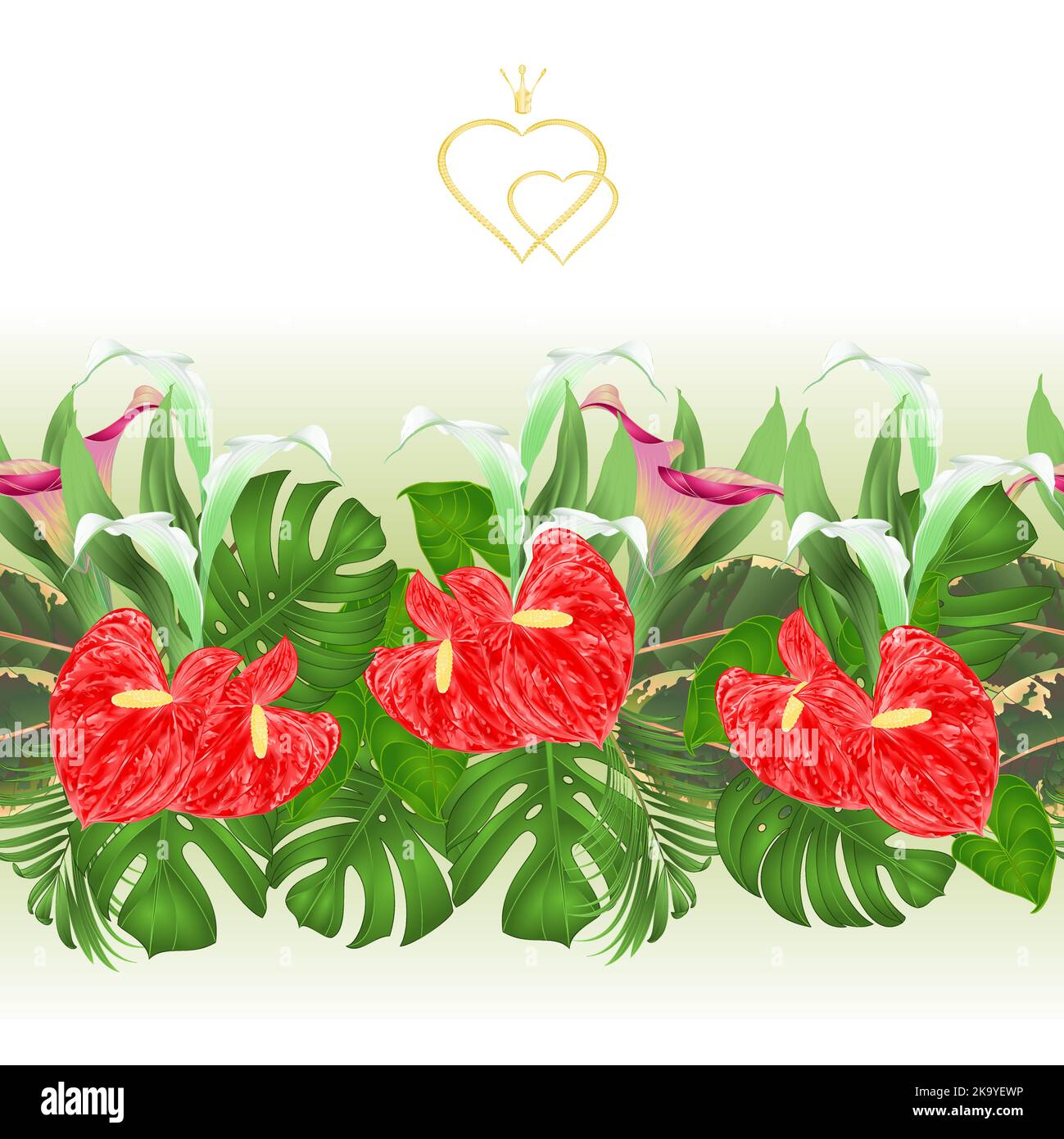 Floral border seamless background with blooming lilies Cala and ...