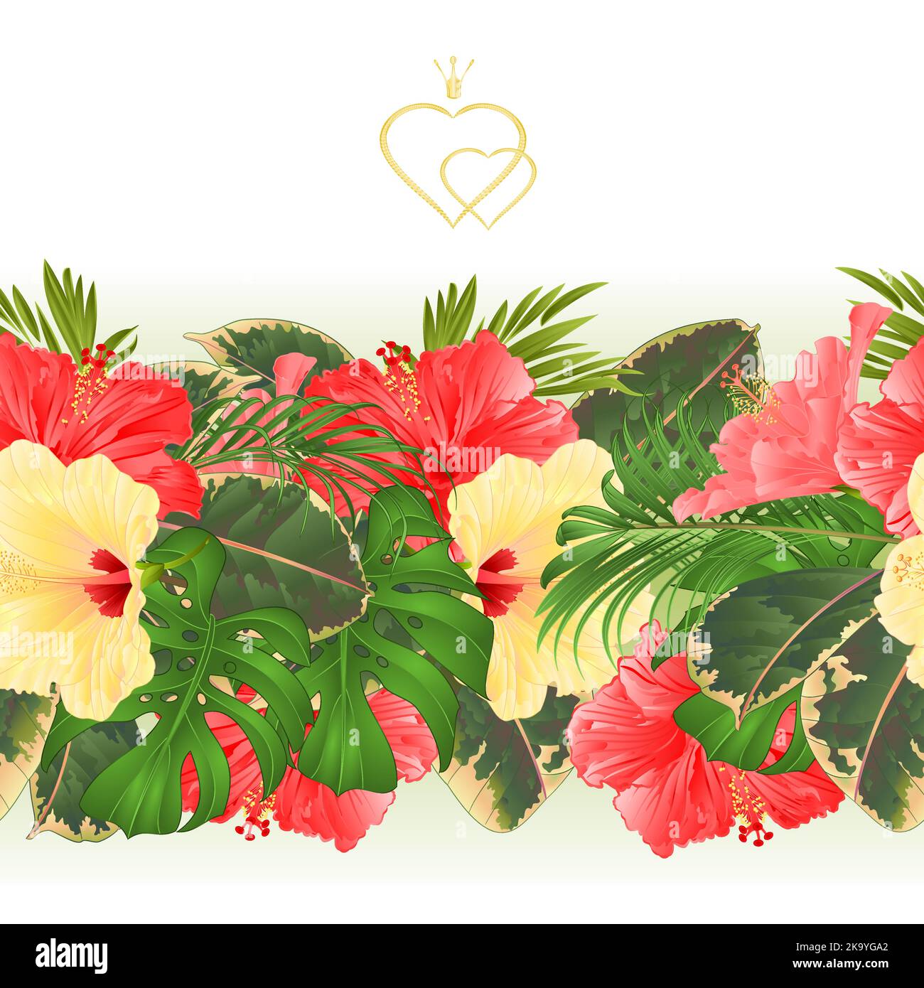 Blooming hibiscus Stock Vector Images - Alamy