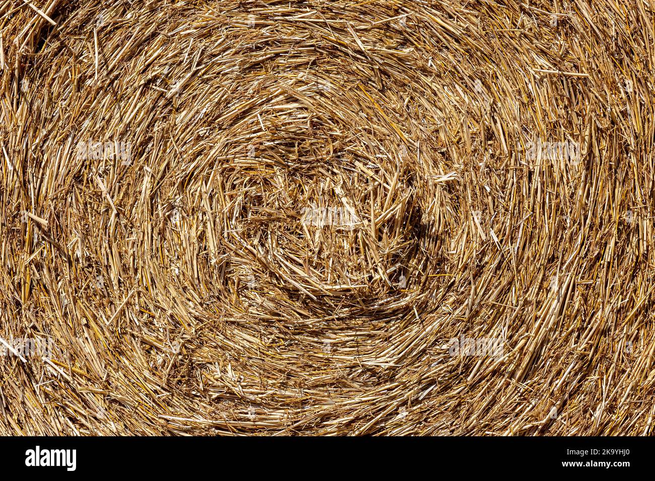 A full frame photograph of a hay bale in the summer sunshine Stock ...