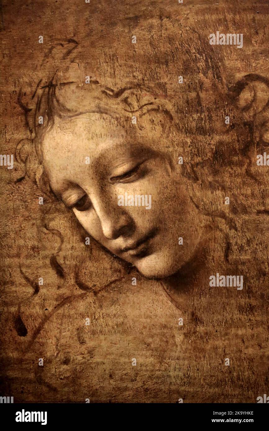La Scapigliata, c. 1506–1508 (unfinished), Art by Leonardo da Vinci Stock Photo - Alamy