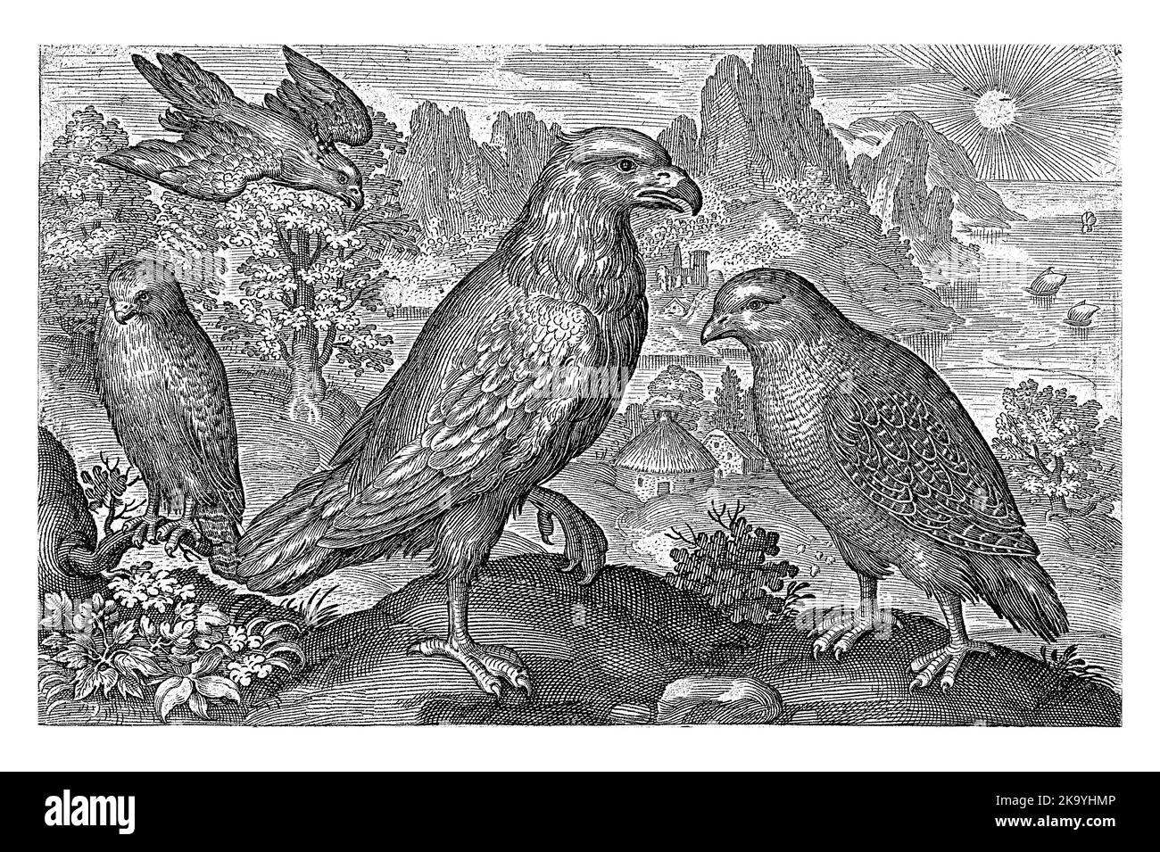 Eagle and other birds of prey, Nicolaes de Bruyn, 1594, vintage ...