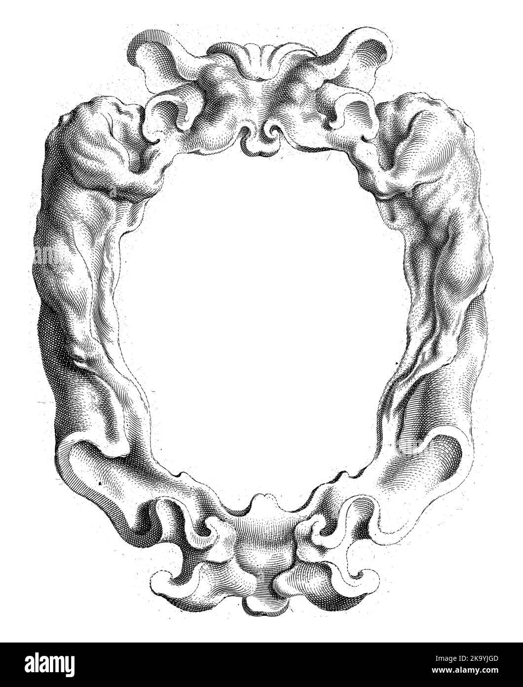 Animals right Cut Out Stock Images & Pictures - Alamy