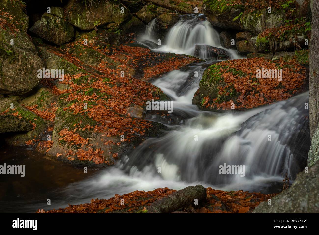 Cerna Desna creek in Jizerske mountains in autumn color fresh morning ...
