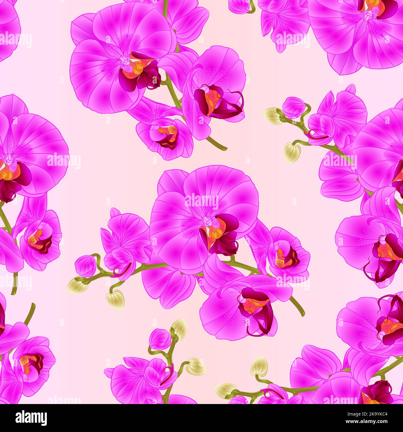 Seamless Texture Branch Orchids Purple Flowers Tropical Plant