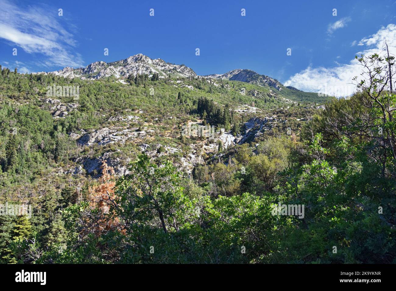 Horsetail Falls views from hiking trail in Dry Creek Canyon, Lone Peak ...