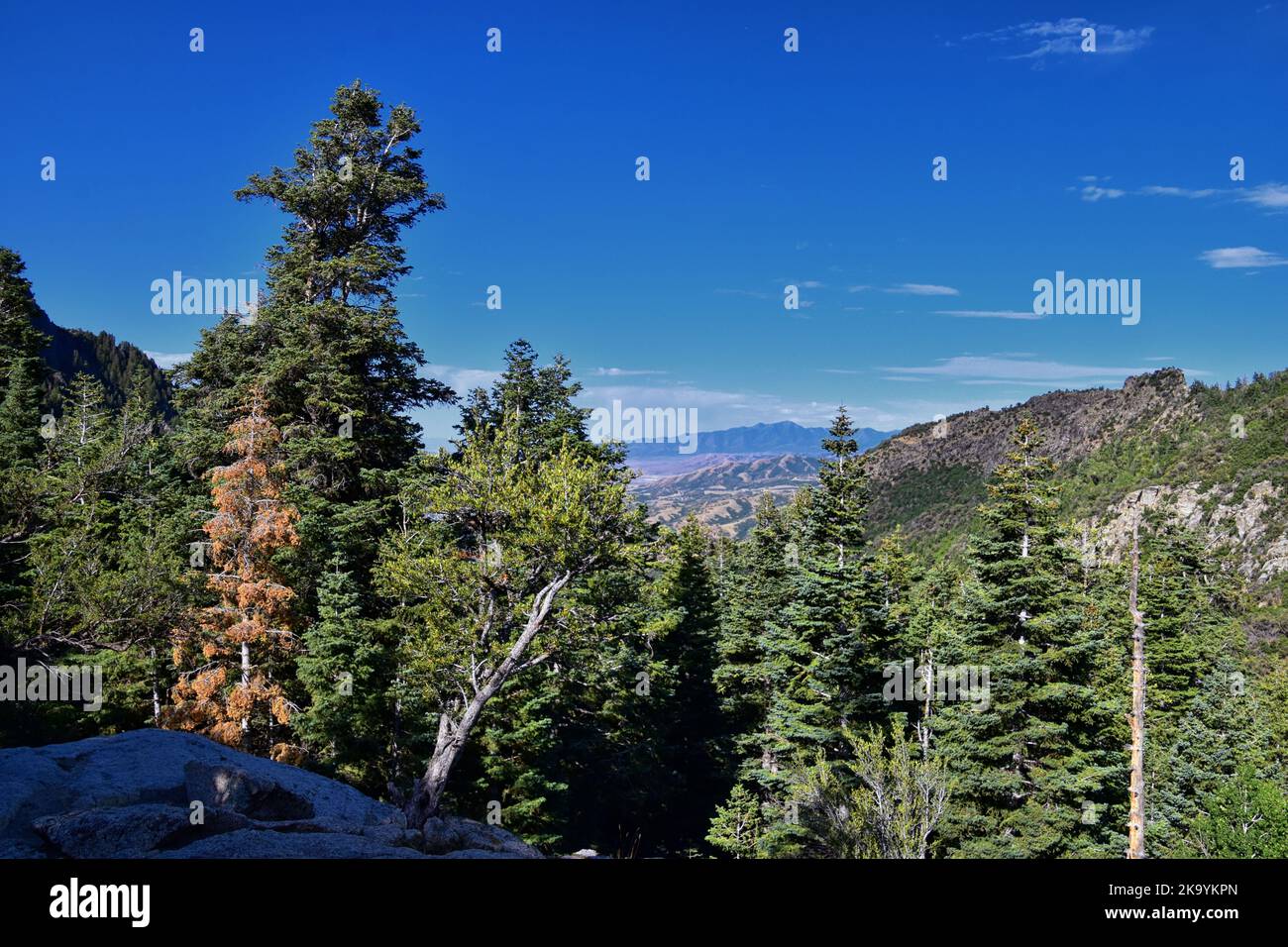 Horsetail Falls views from hiking trail in Dry Creek Canyon, Lone Peak ...