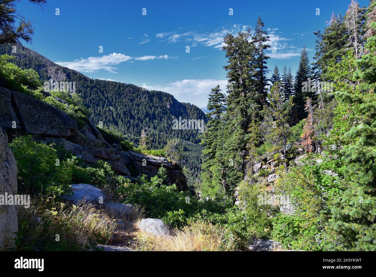 Horsetail Falls views from hiking trail in Dry Creek Canyon, Lone Peak ...