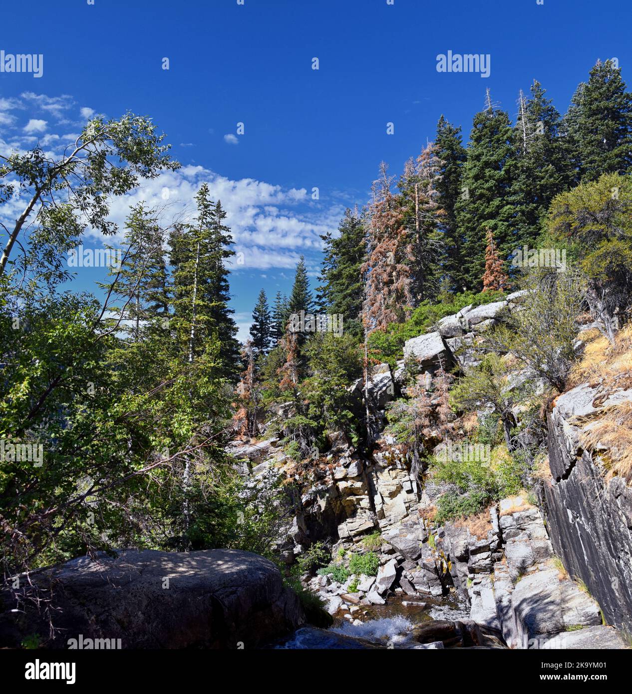 Horsetail Falls views from hiking trail in Dry Creek Canyon, Lone Peak ...