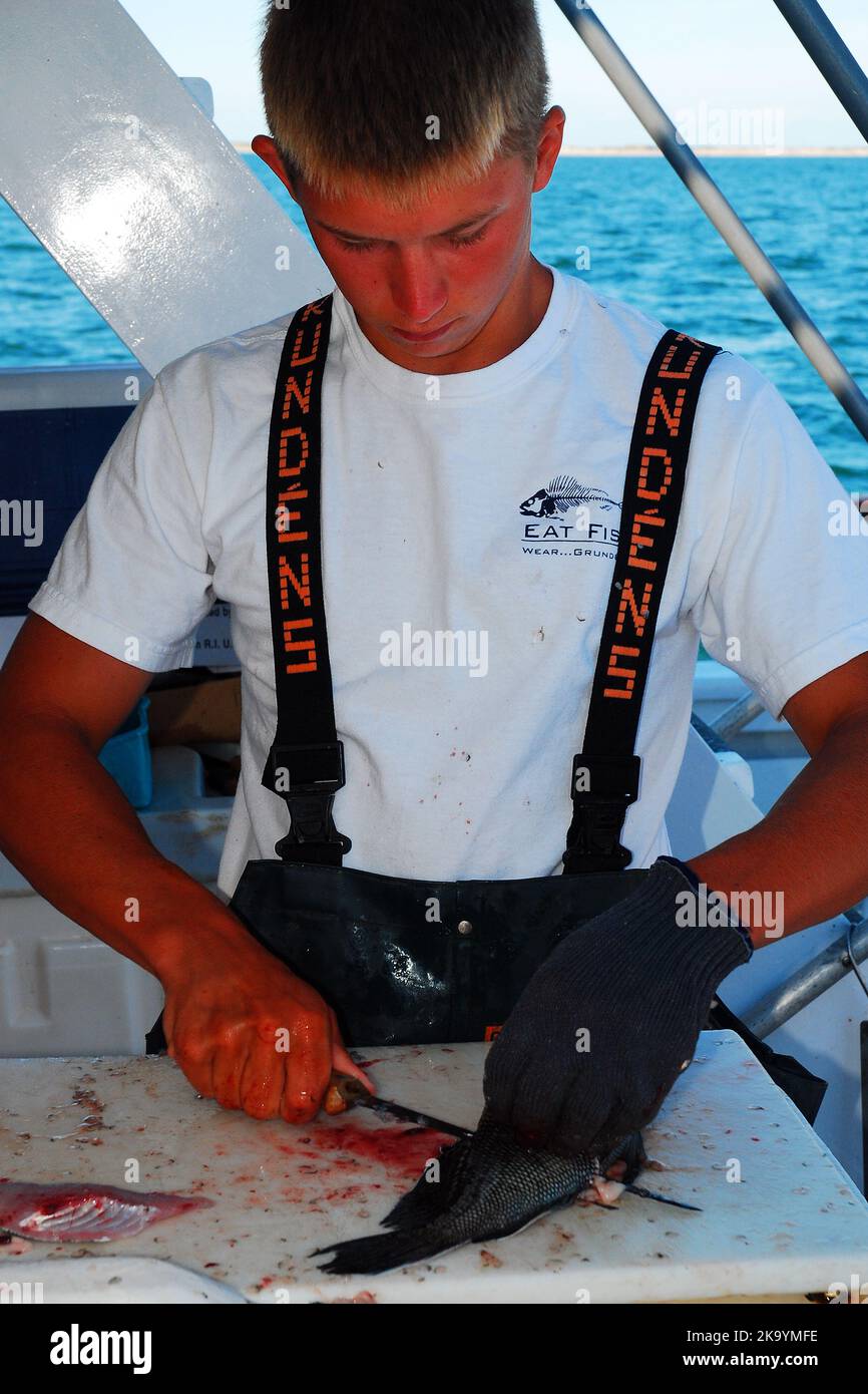 A young man working on a charter fishing boat slices, cuts, filets and ...