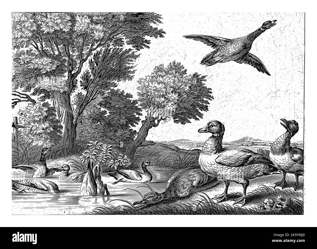 River several Cut Out Stock Images & Pictures - Alamy