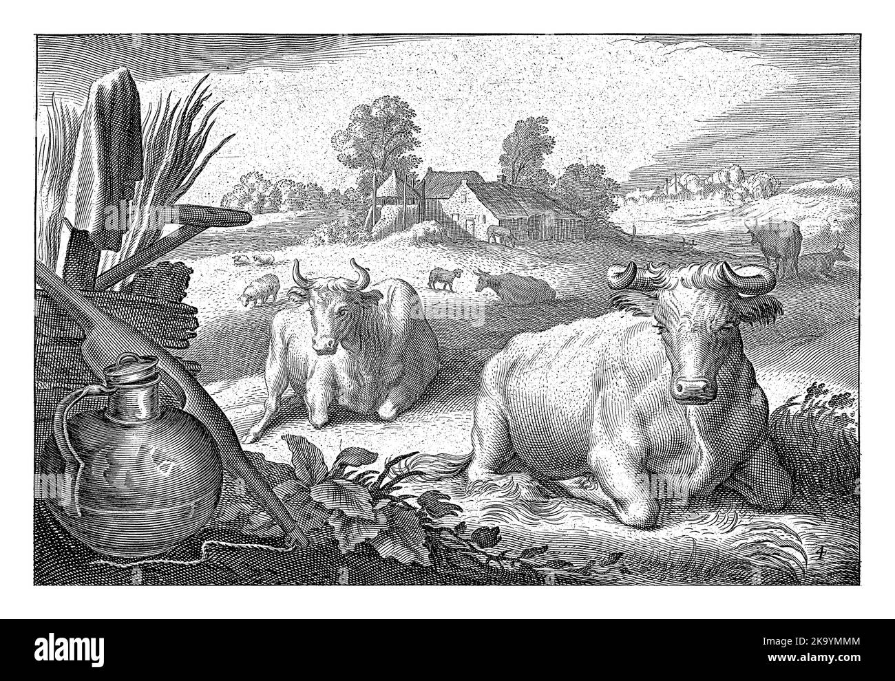 Cuyp cow hi-res stock photography and images - Alamy