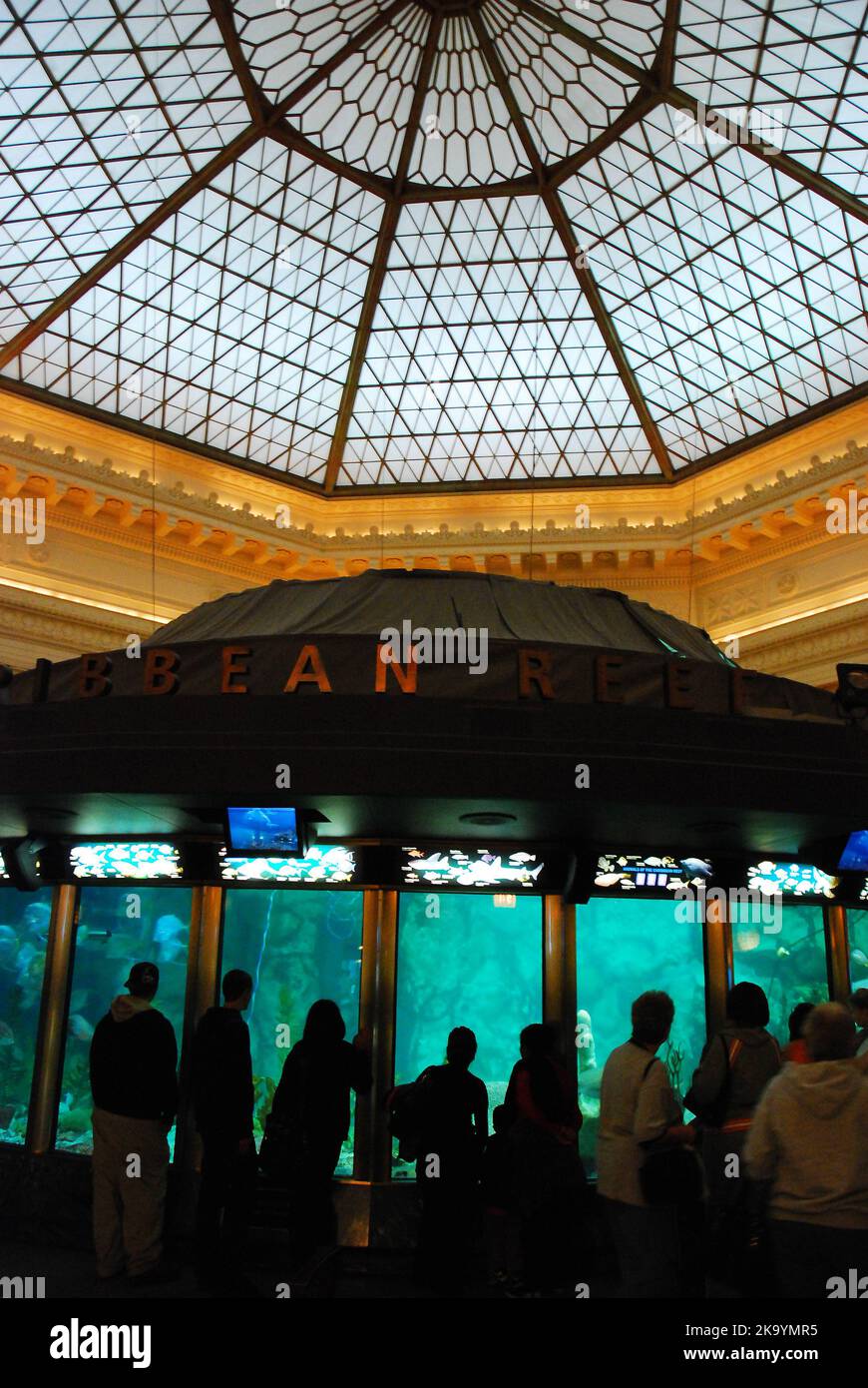 People gather around the Caribbean Reef exhibit of tropical and exotic ...