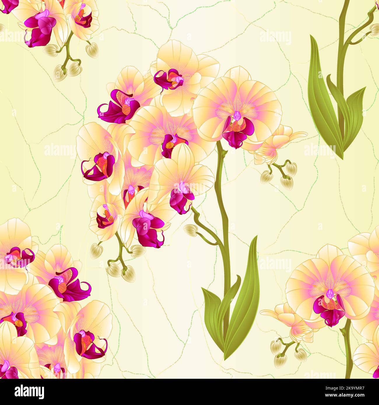 Seamless Texture Branches Orchid Phalaenopsis Yellow Flowers And Leaves