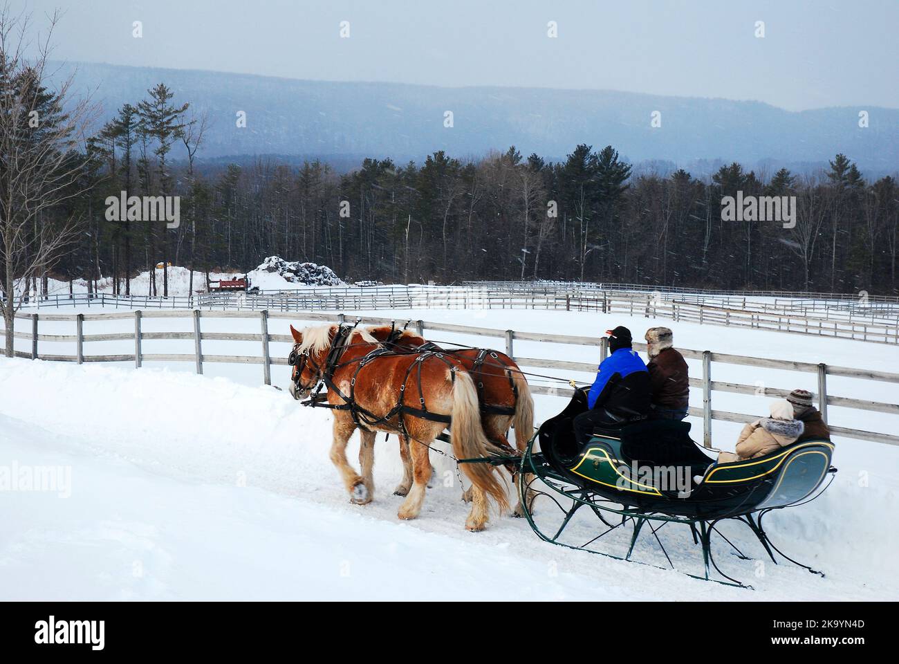 Dashing Through the Snow Stock Photo - Alamy