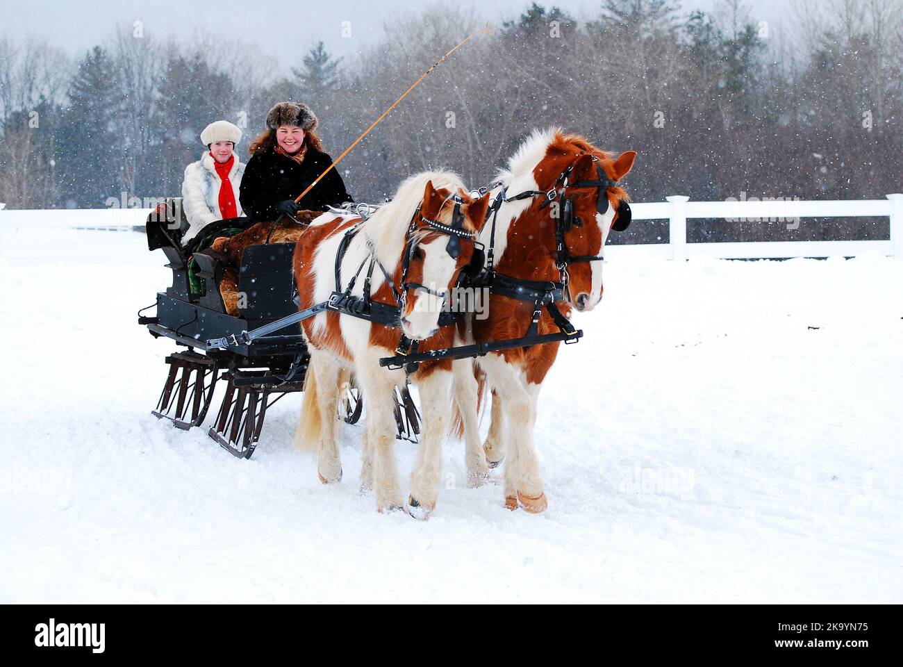 Bing Crosby Sleigh Ride
