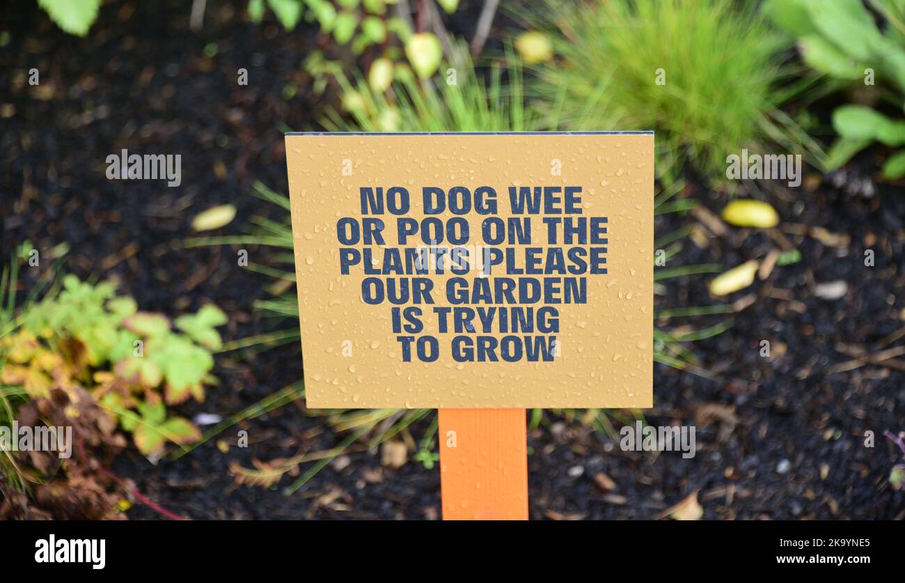 'No dog wee or poo on the plants please our garden is trying to grow ...