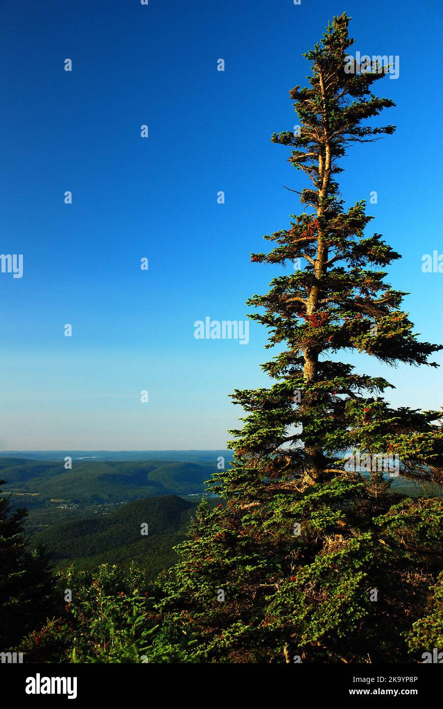 Mt Greylock Near the Summit Stock Photo - Alamy