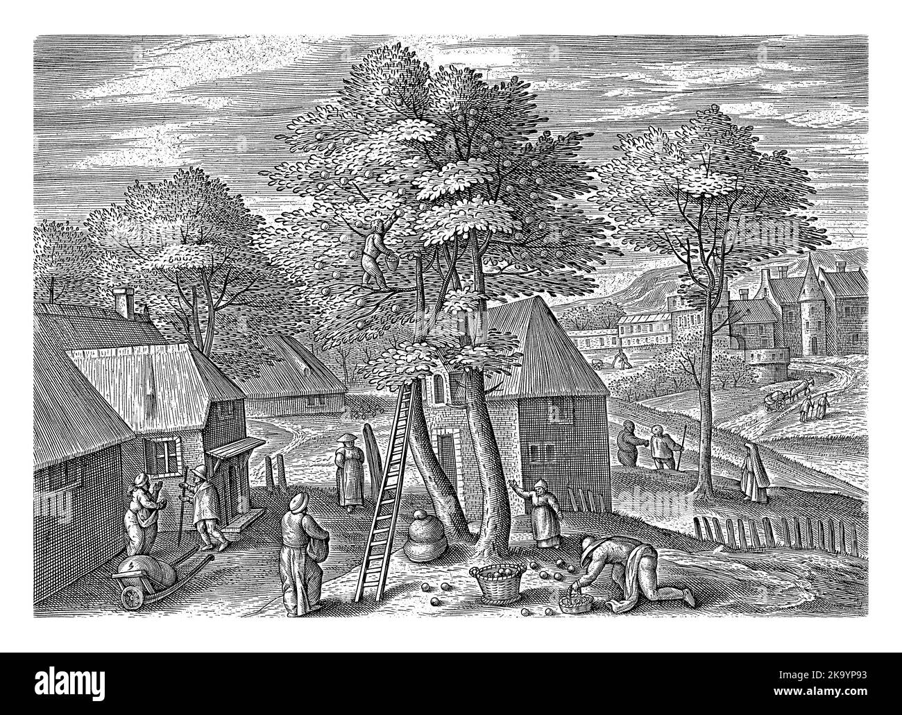 Autumn landscape with autumn scenes. September is the fruit month. In ...