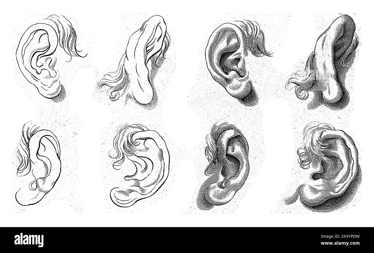 Studies for ears Black and White Stock Photos & Images - Alamy