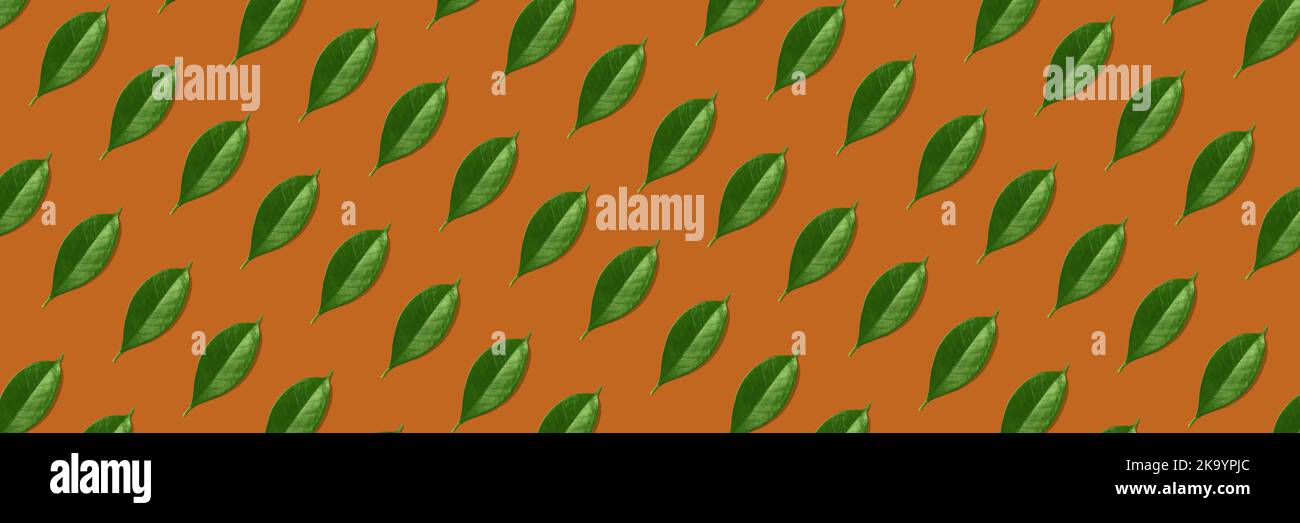 Creative seamless pattern of green leaves on orange background ...