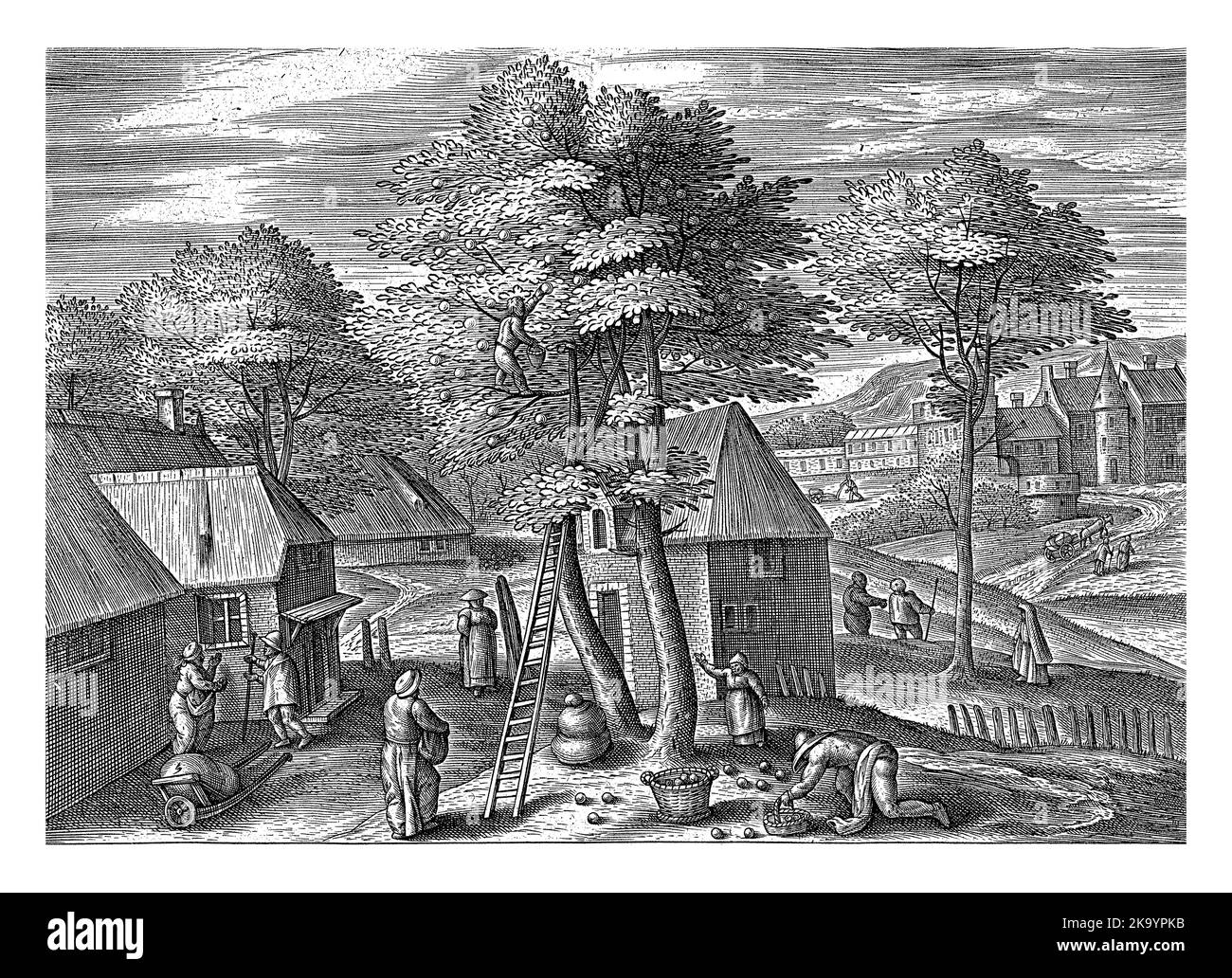 Autumn landscape with autumn scenes. September is the fruit month. In ...