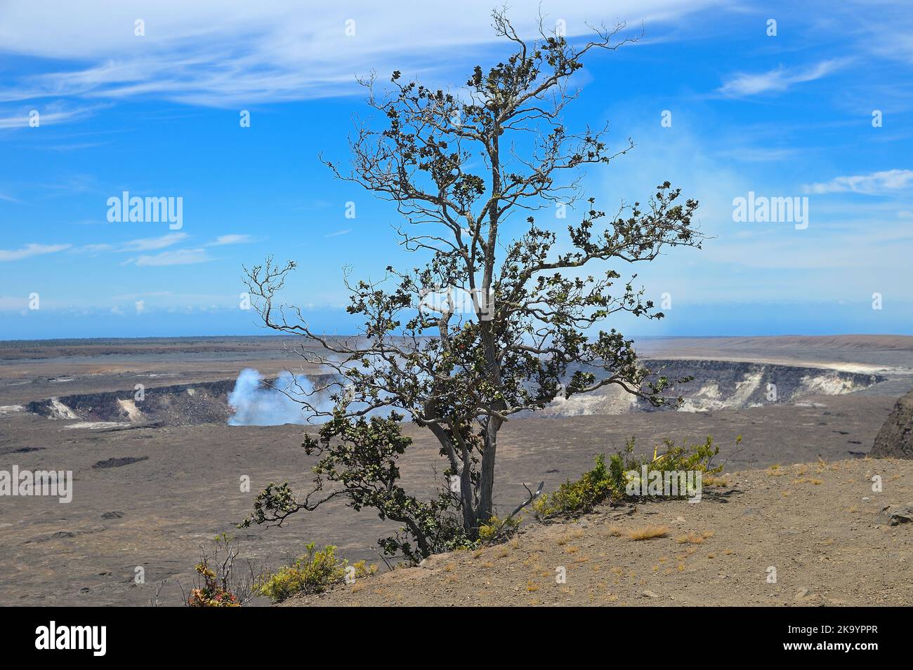 The picturesque steaming craters KIlauea and Halemaumau, Hawaiʻi ...