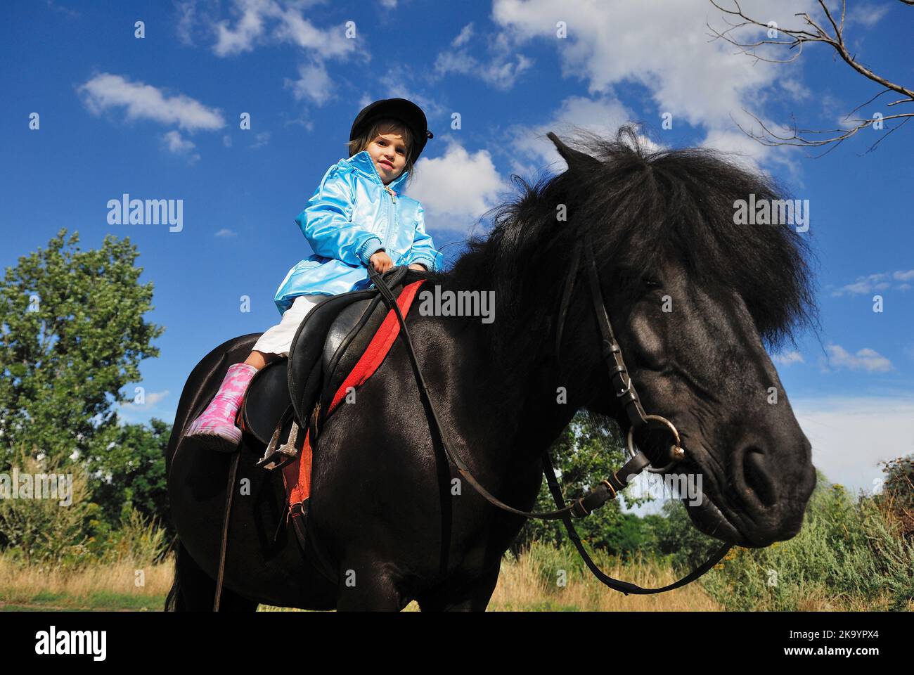 hippo therapy, child, rider, horse rider, therapy with animals, health ...