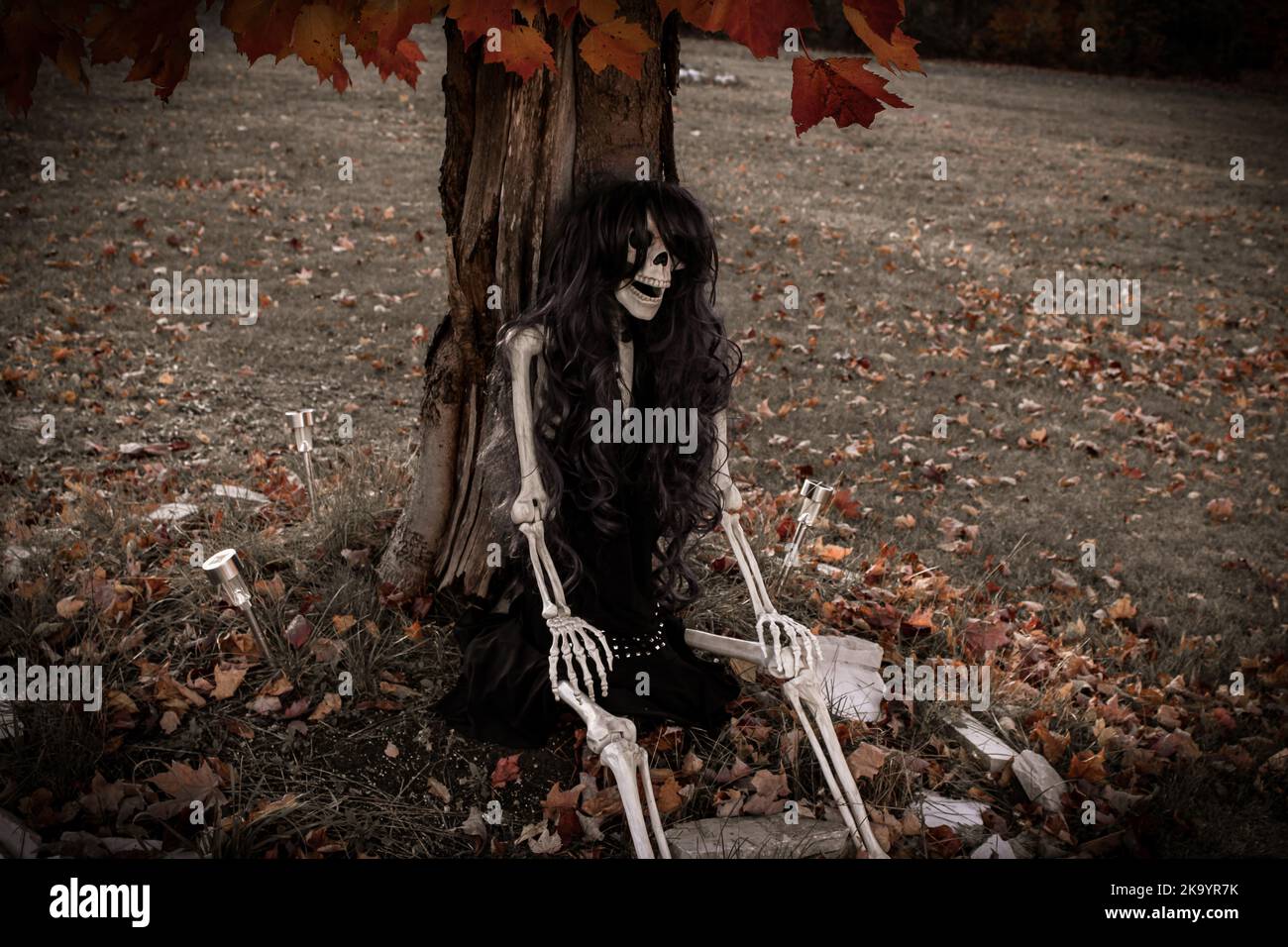 Female sitting under a tree hi-res stock photography and images - Alamy