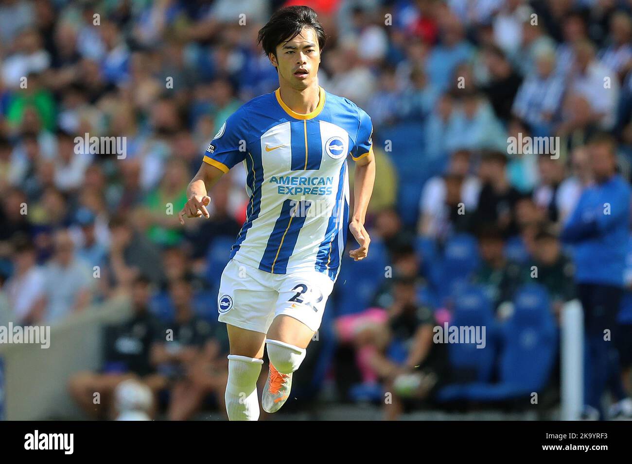 Kaoru Mitoma in action for Brighton & Hove Albion at the AMEX Stadium ...