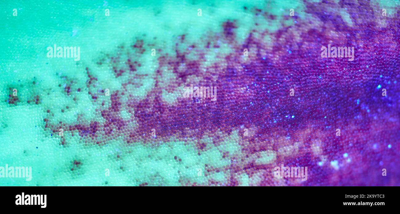 beautiful autumn leaf patterns under the microscope Stock Photo - Alamy