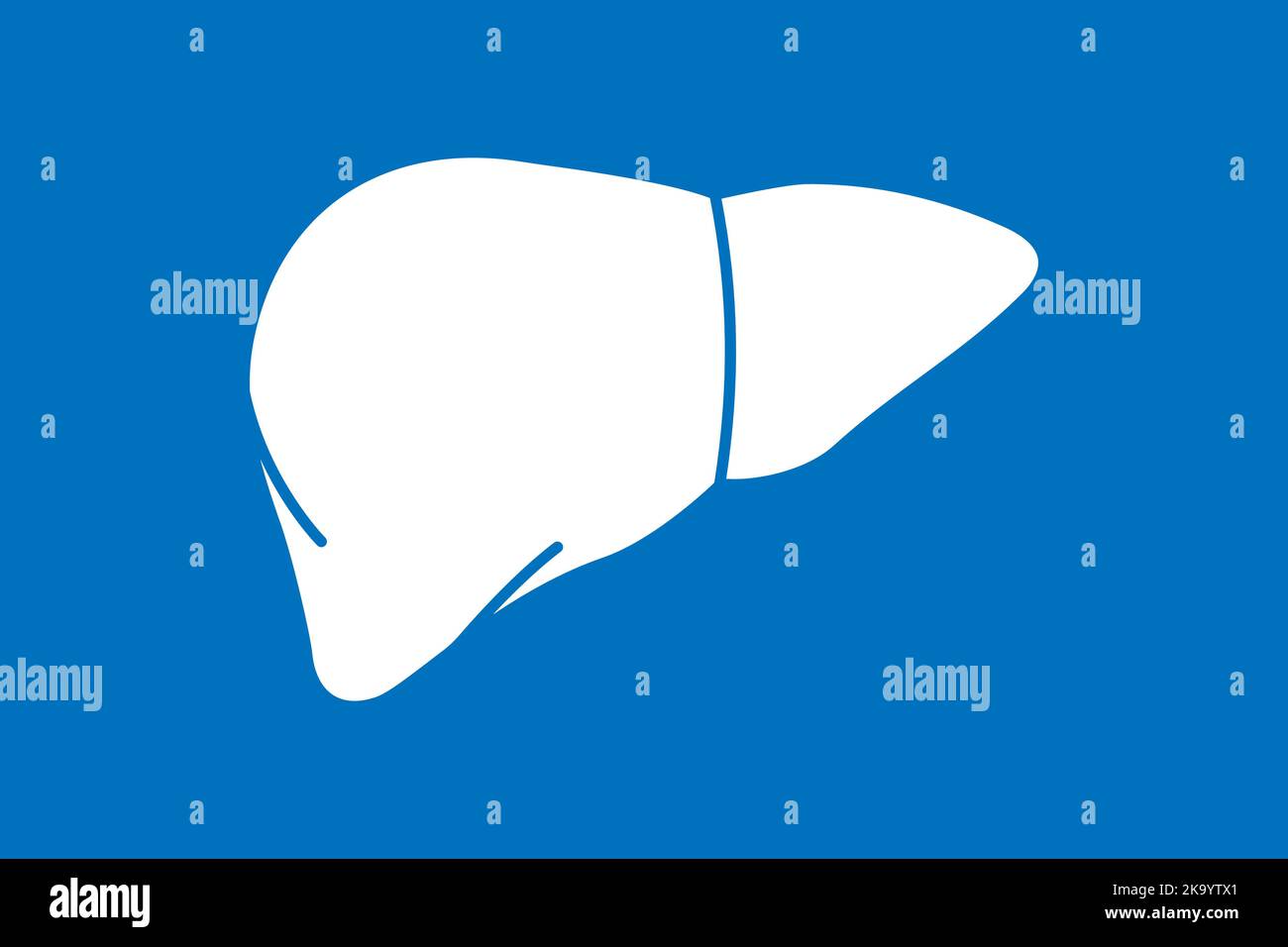 Human liver symbol isolated on blue background. Human organ icon ...