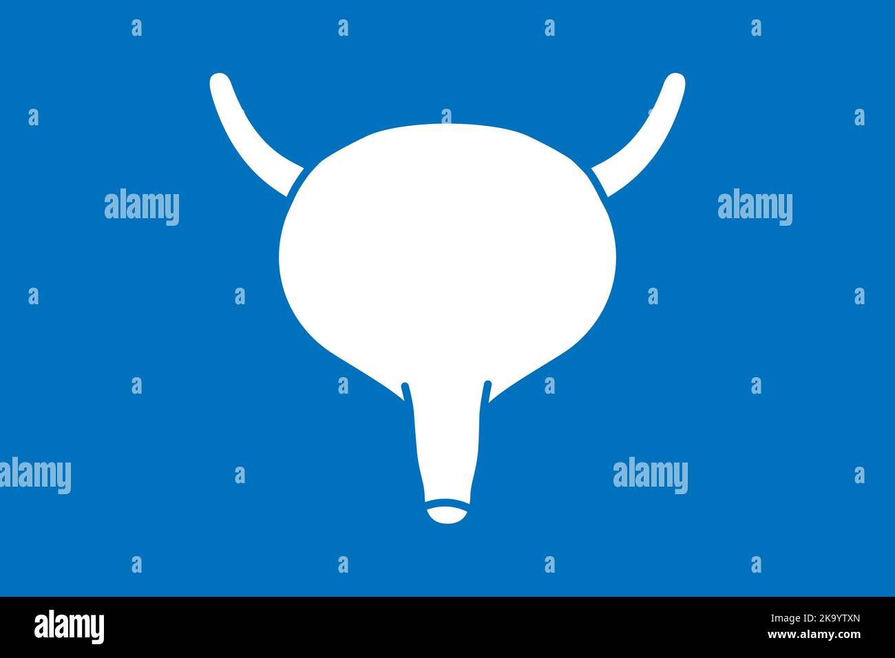 Human bladder symbol isolated on blue background. Human organ icon ...