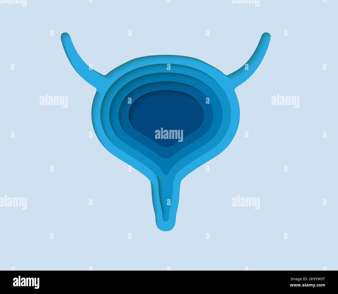 Bladder 3d symbol in paper cut style. Reproductive system, human ...