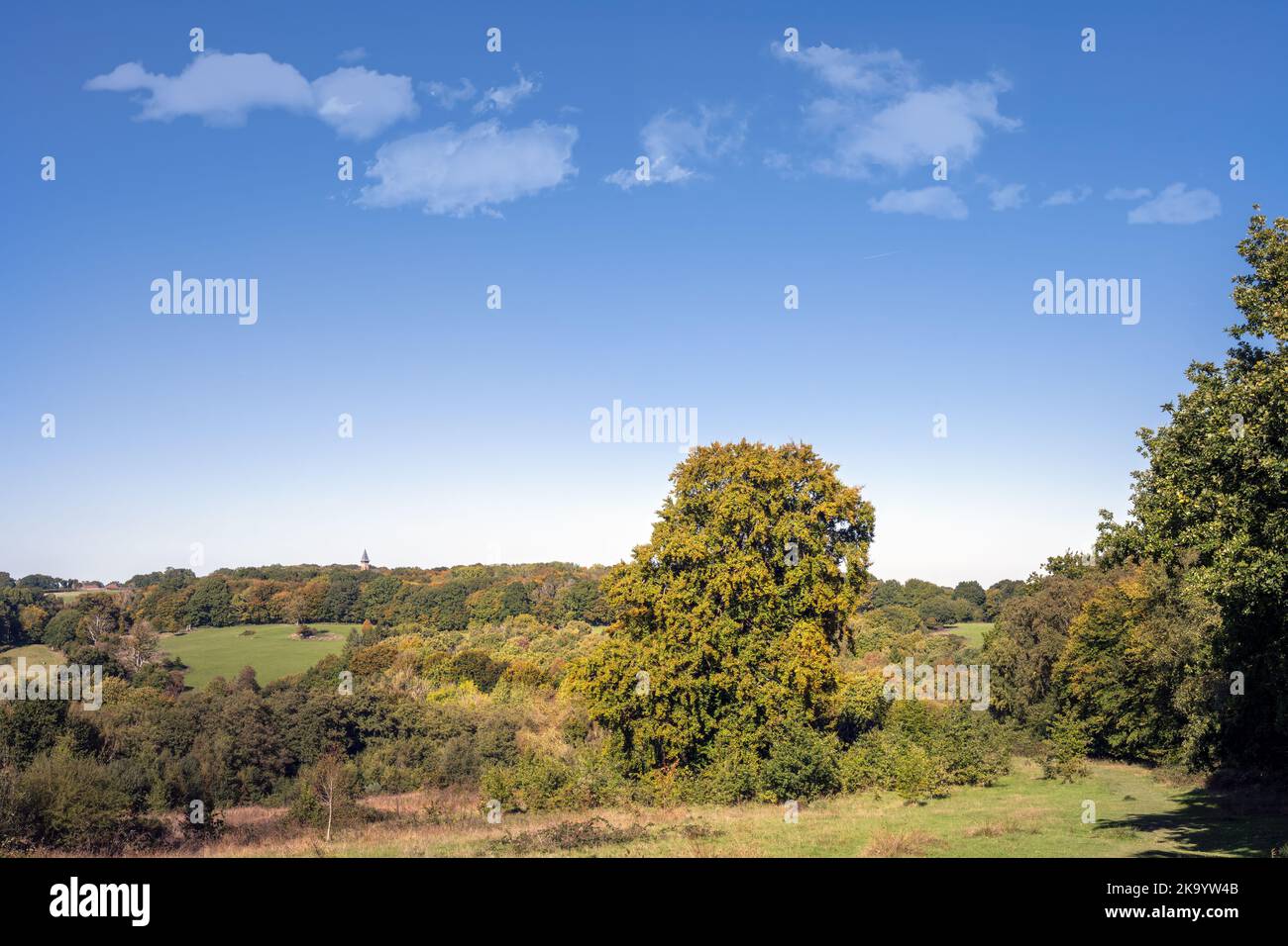 View of the countryside in Wealden in autumn, East Sussex, England ...