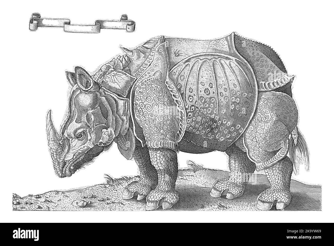 Rhinoceros, Enea Vico, after Albrecht Durer, 1542 A rhinoceros ...