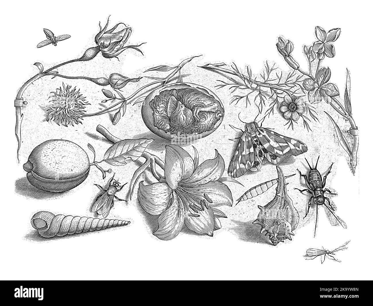 Print from a series of 48 prints, divided into four separate parts of ...