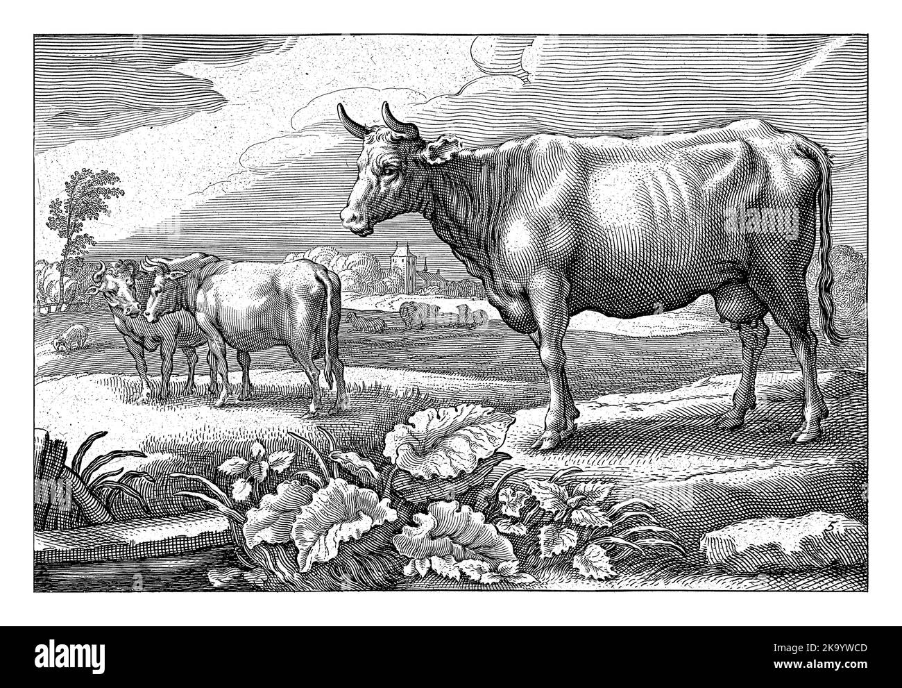 Reinier van persijin hi-res stock photography and images - Alamy