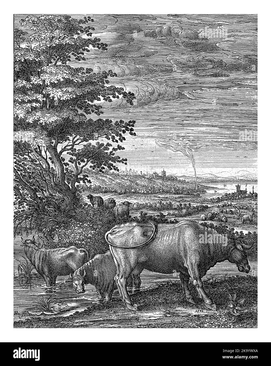 Landscape two trees in Cut Out Stock Images & Pictures - Alamy