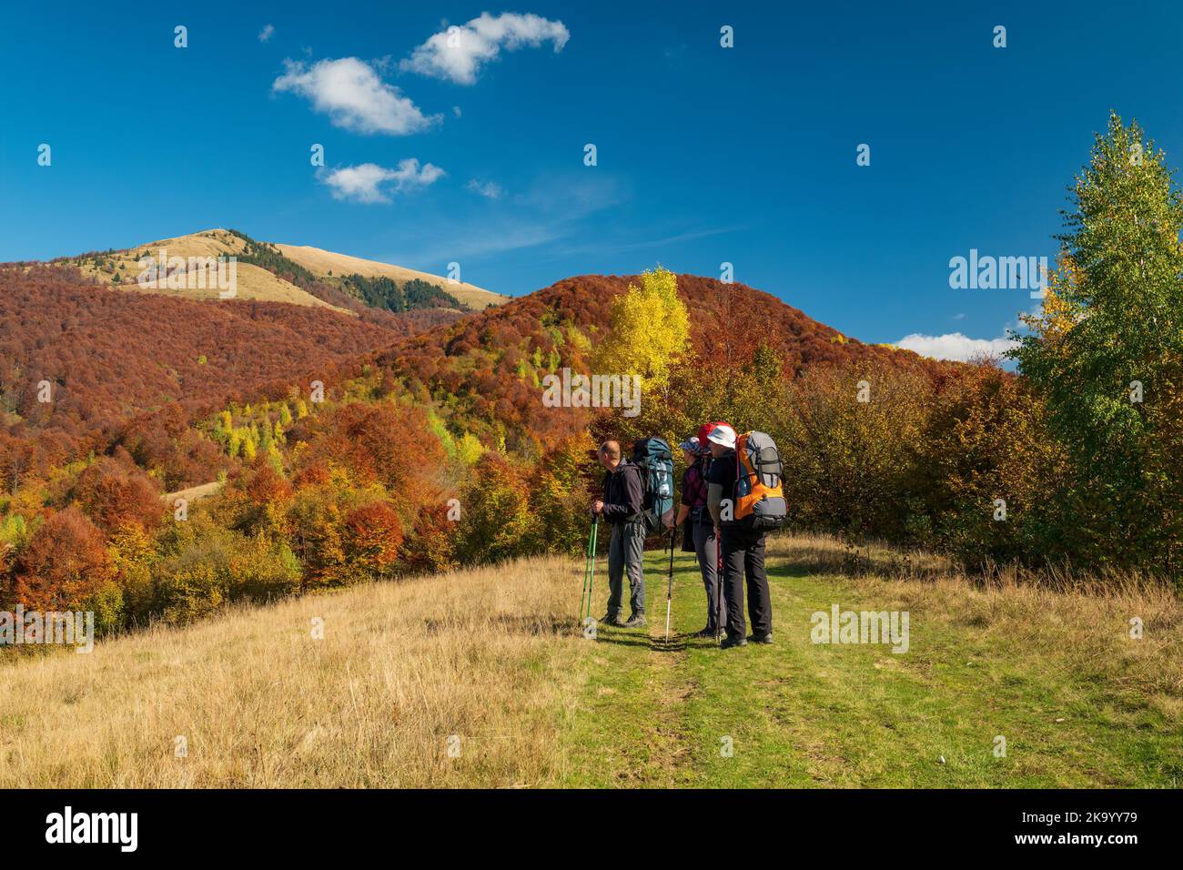 Hikers on an autumn forest path hi-res stock photography and images - Alamy
