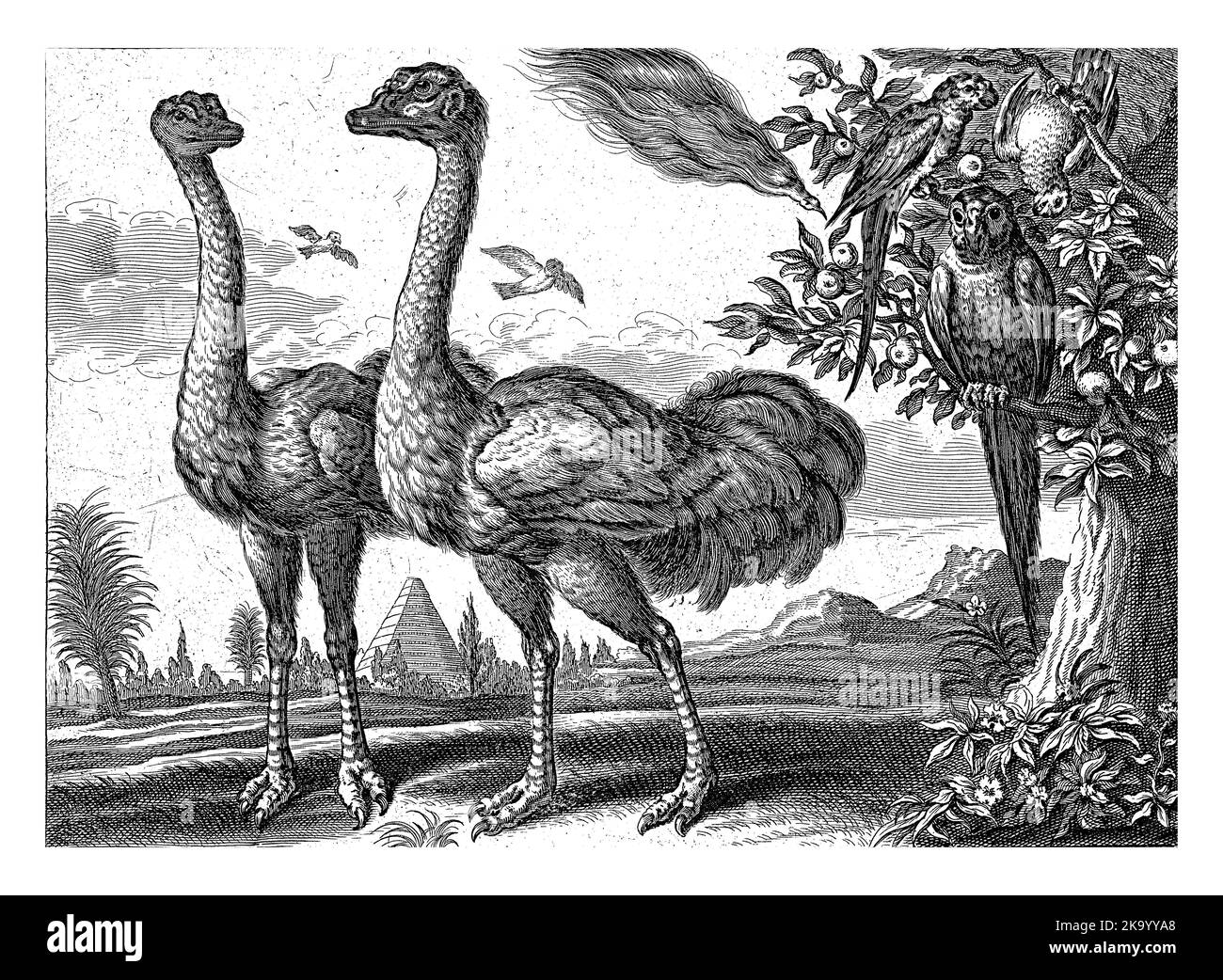 Pyramid of the owl Black and White Stock Photos & Images - Alamy