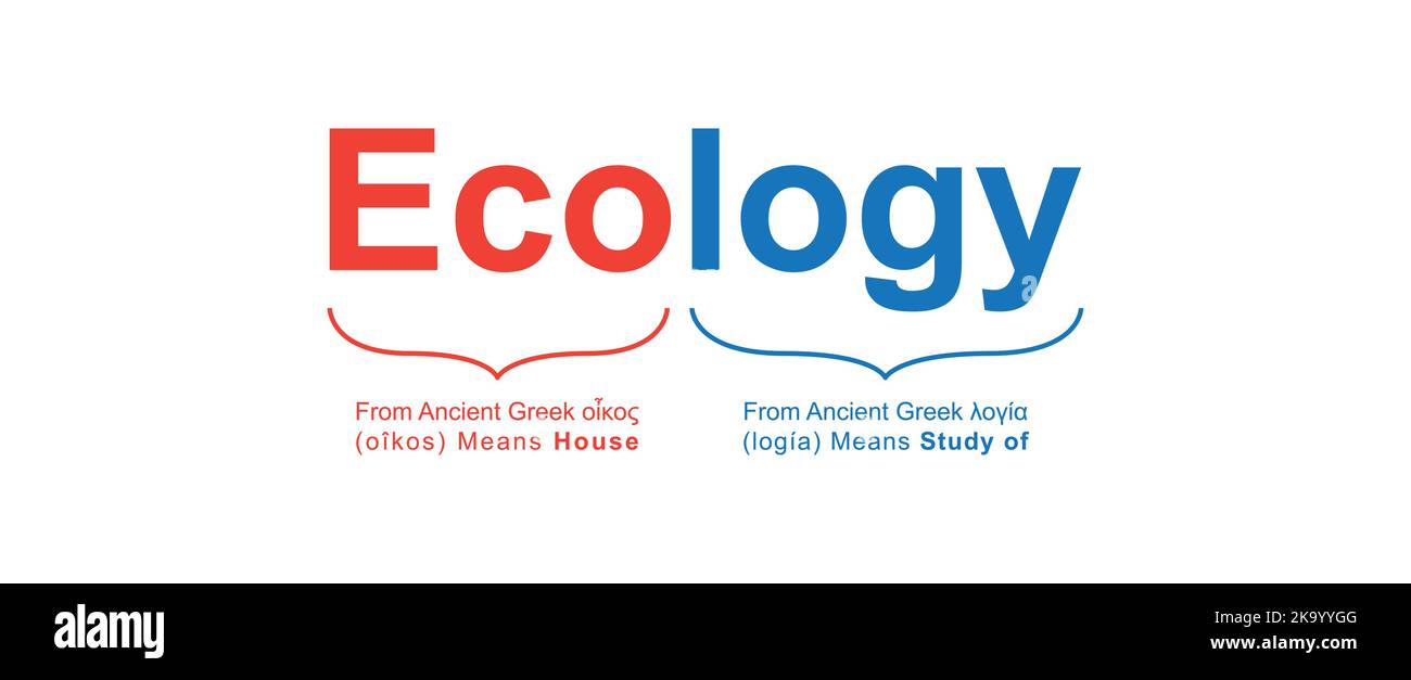 Ecology Meaning Concept Design. Vector Illustration Stock Vector Image ... Ecology Meaning Concept Design. Vector Illustration Stock Vector Image ...