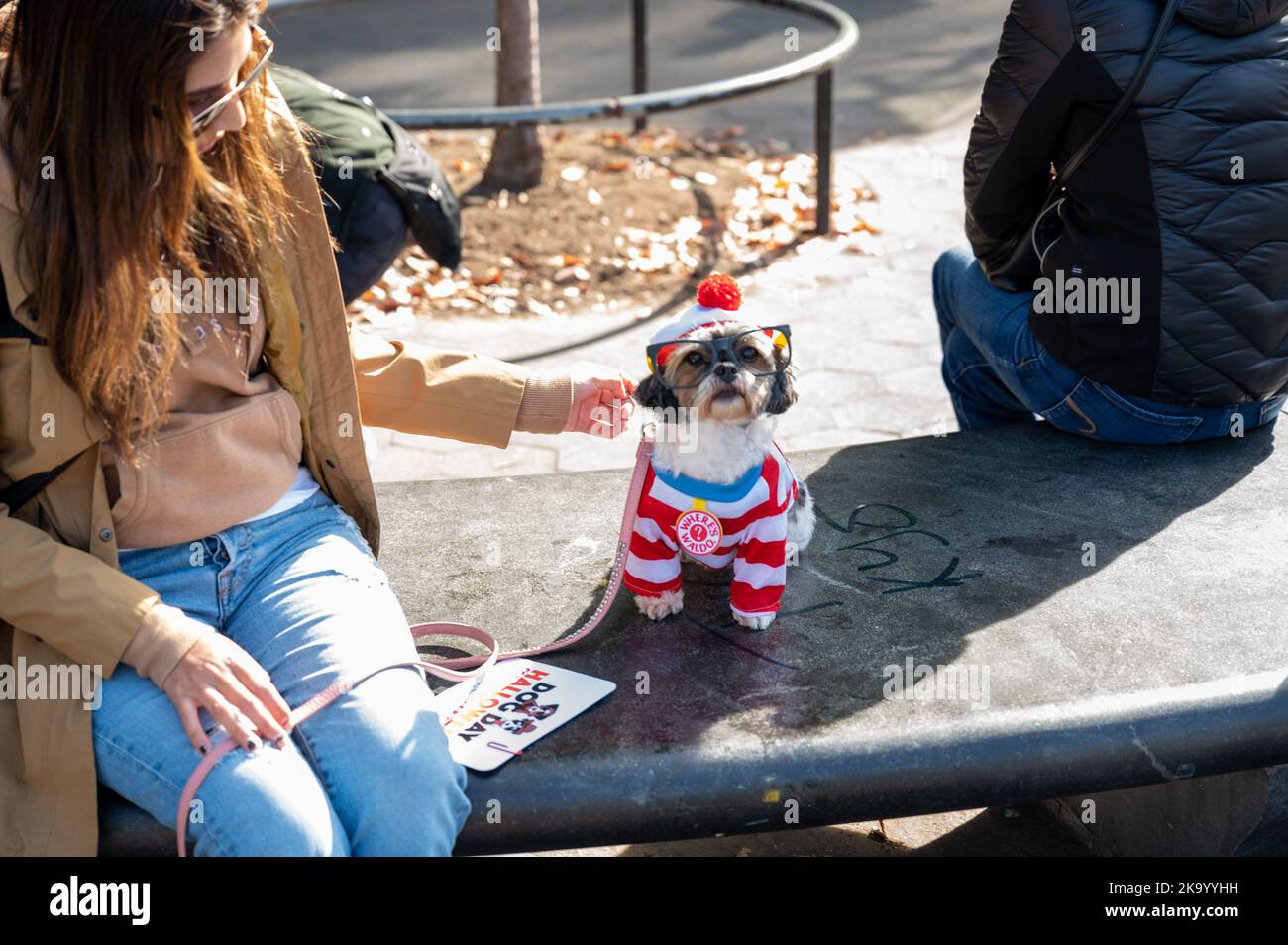 People and pets attend the Dog Day Halloween Parade and Costume Contest ...