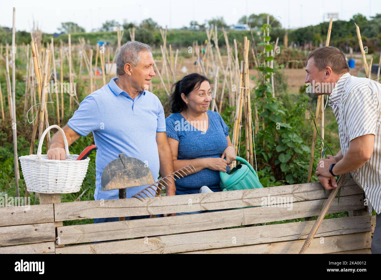 Three neighbours farmers talking together near wooden fence in garden ...