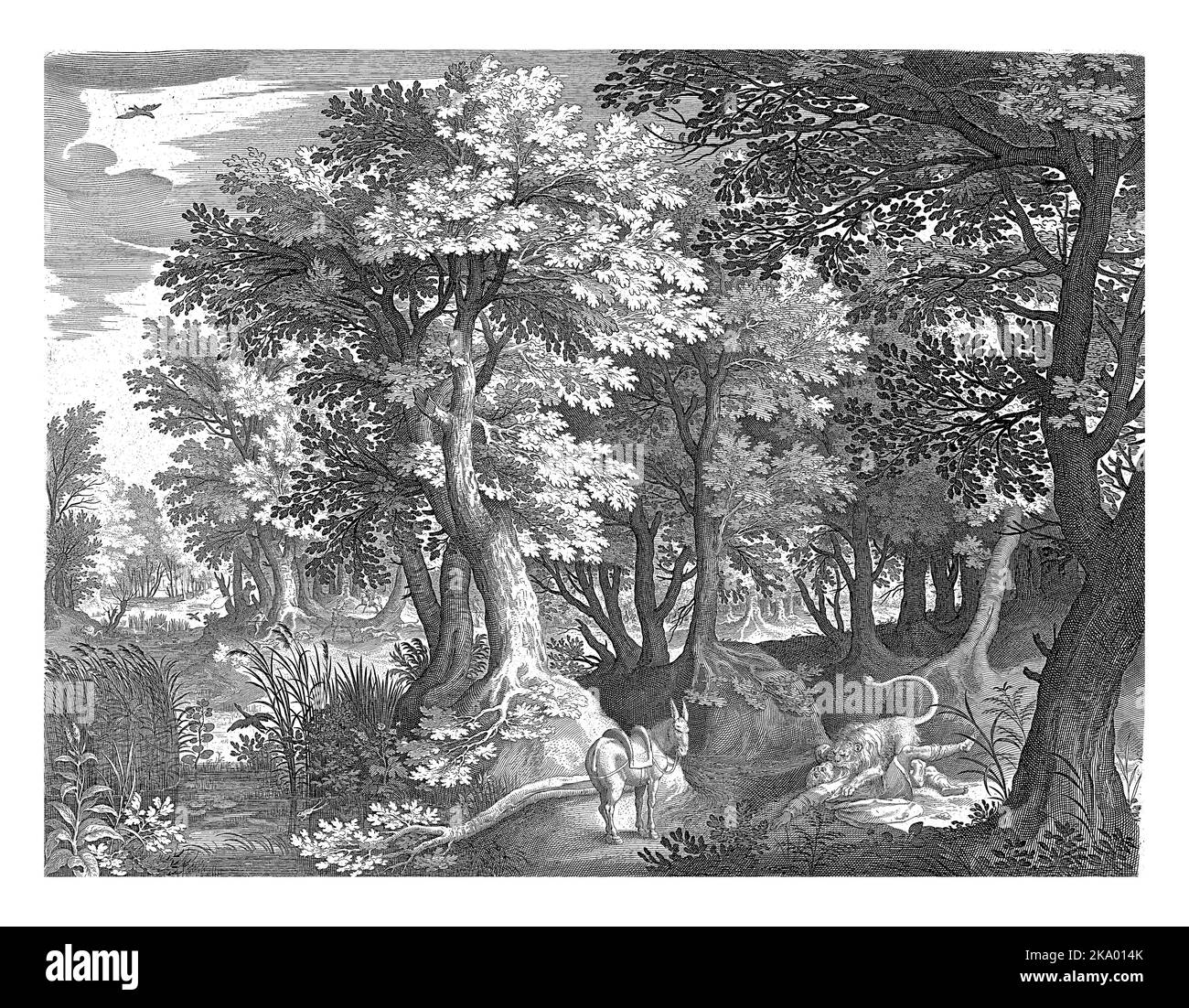 Dis Black and White Stock Photos & Images - Alamy