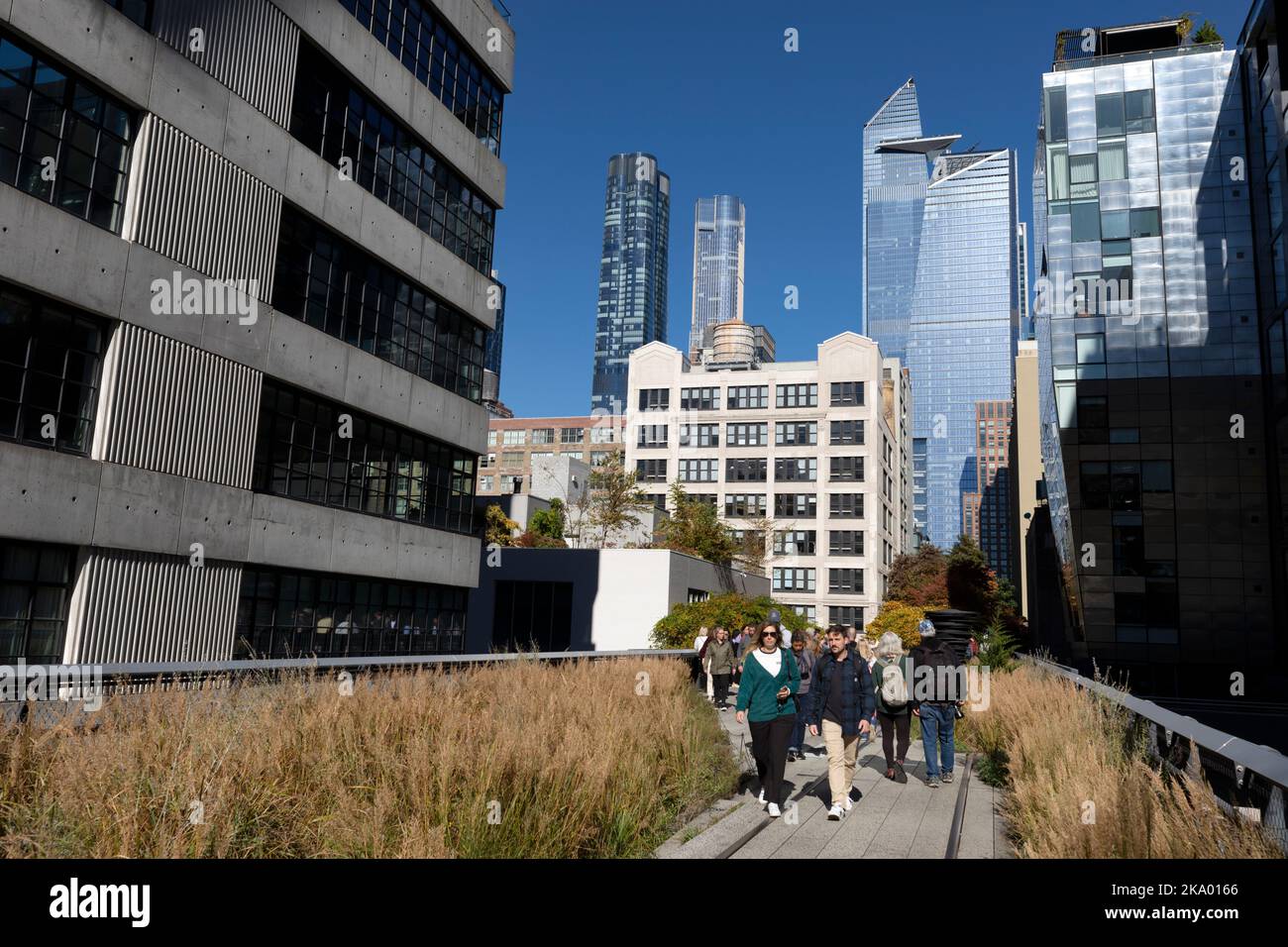 The High Line, Chelsea, Manhattan Stock Photo - Alamy