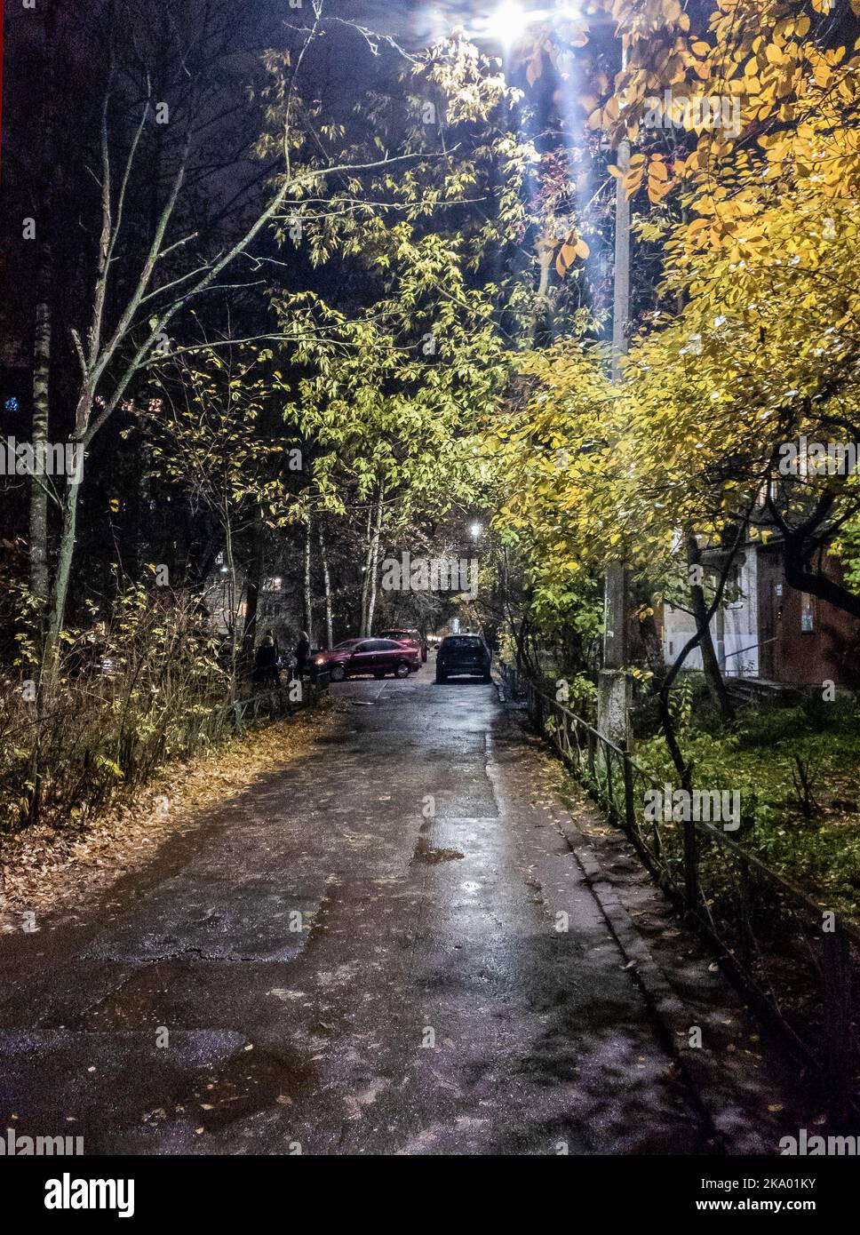 Autumn night view on Moscow yard with yellow color - autumn leaf color ...